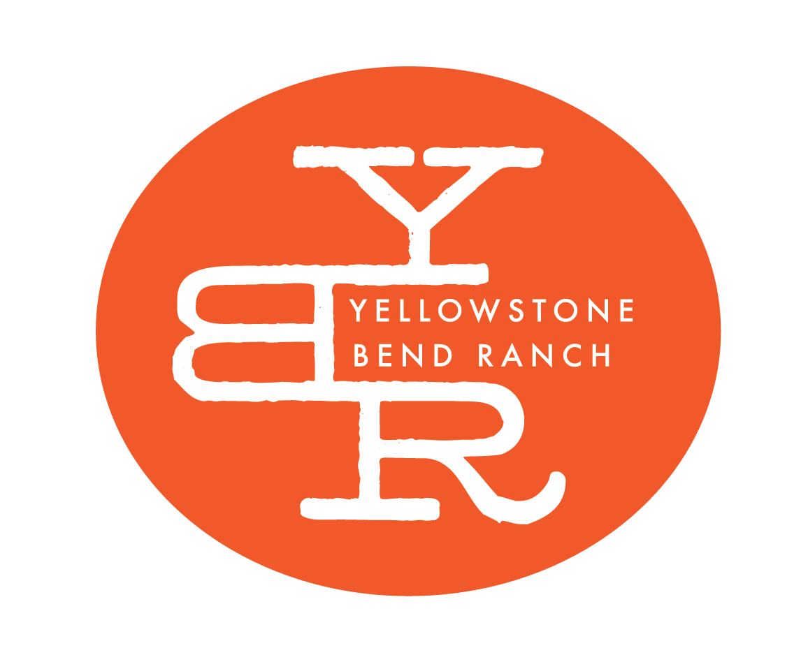 Other Design Projects – jane timberlake